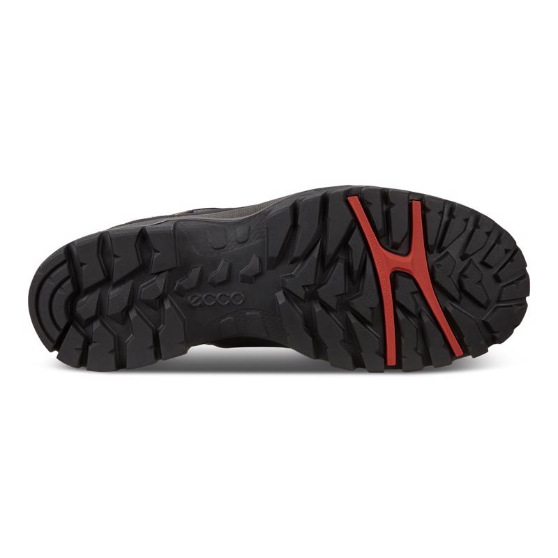 ECCO XPEDITION III W BLACK/BLACK/MOLE | ECCO Trading Co. Ltd